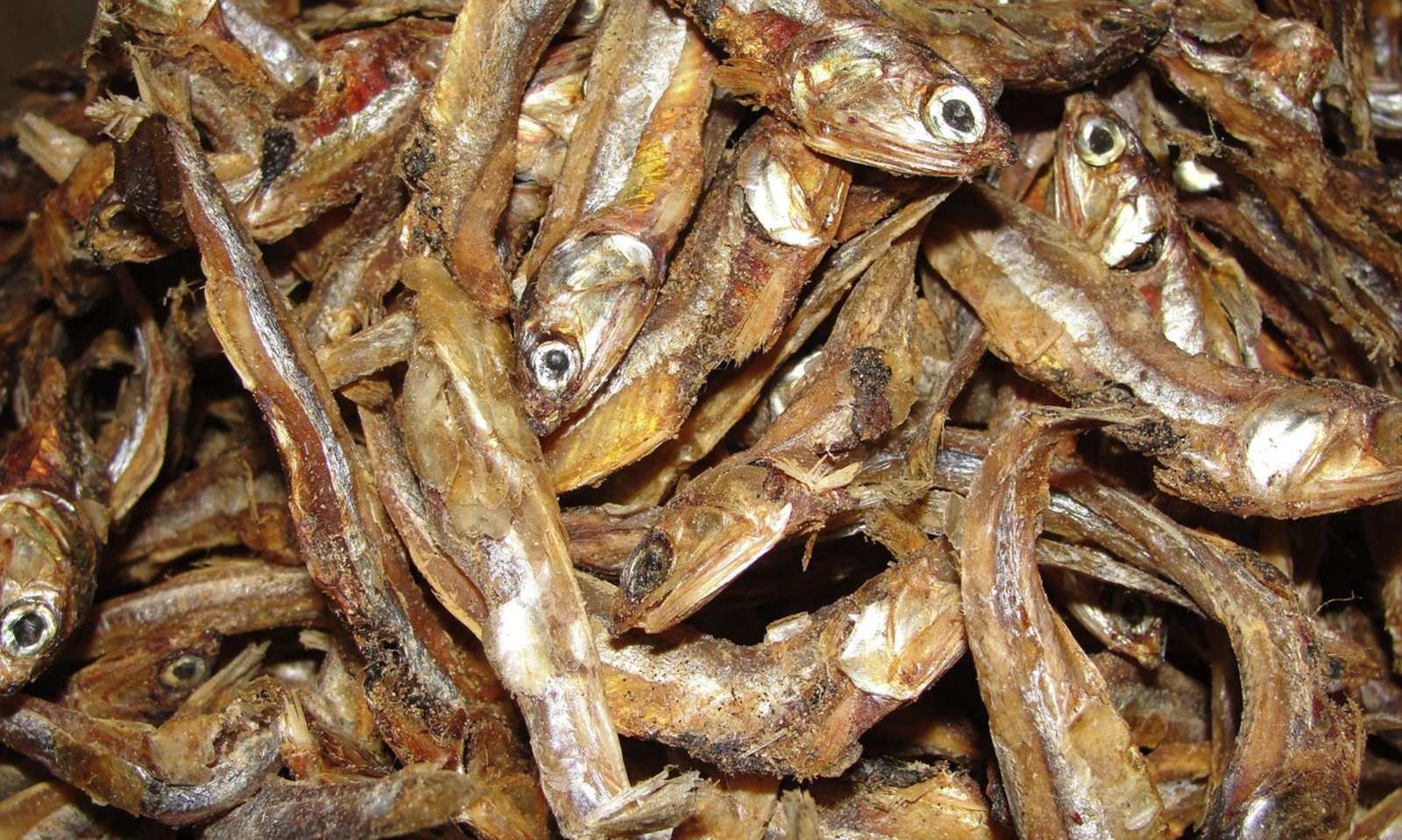 cropped-081718_2347_HelloWorld1.jpg – Dried Fish Matters