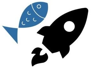 fish-rocket – Dried Fish Matters